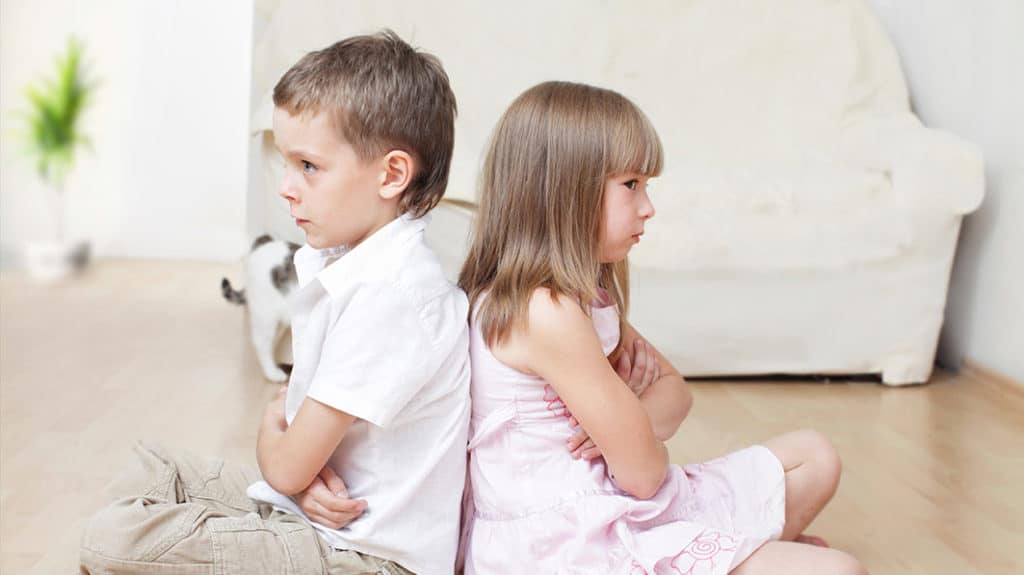 Stop Sibling Conflict - Focus on the Family