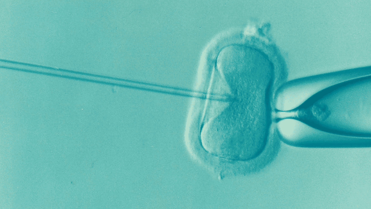 IVF: Moral and Ethical Considerations - Focus on the Family