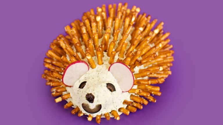 Hedgehog Cheese Ball - Focus on the Family