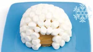 Edible Igloo - Focus on the Family