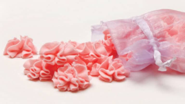 Mint Puffs - Focus on the Family