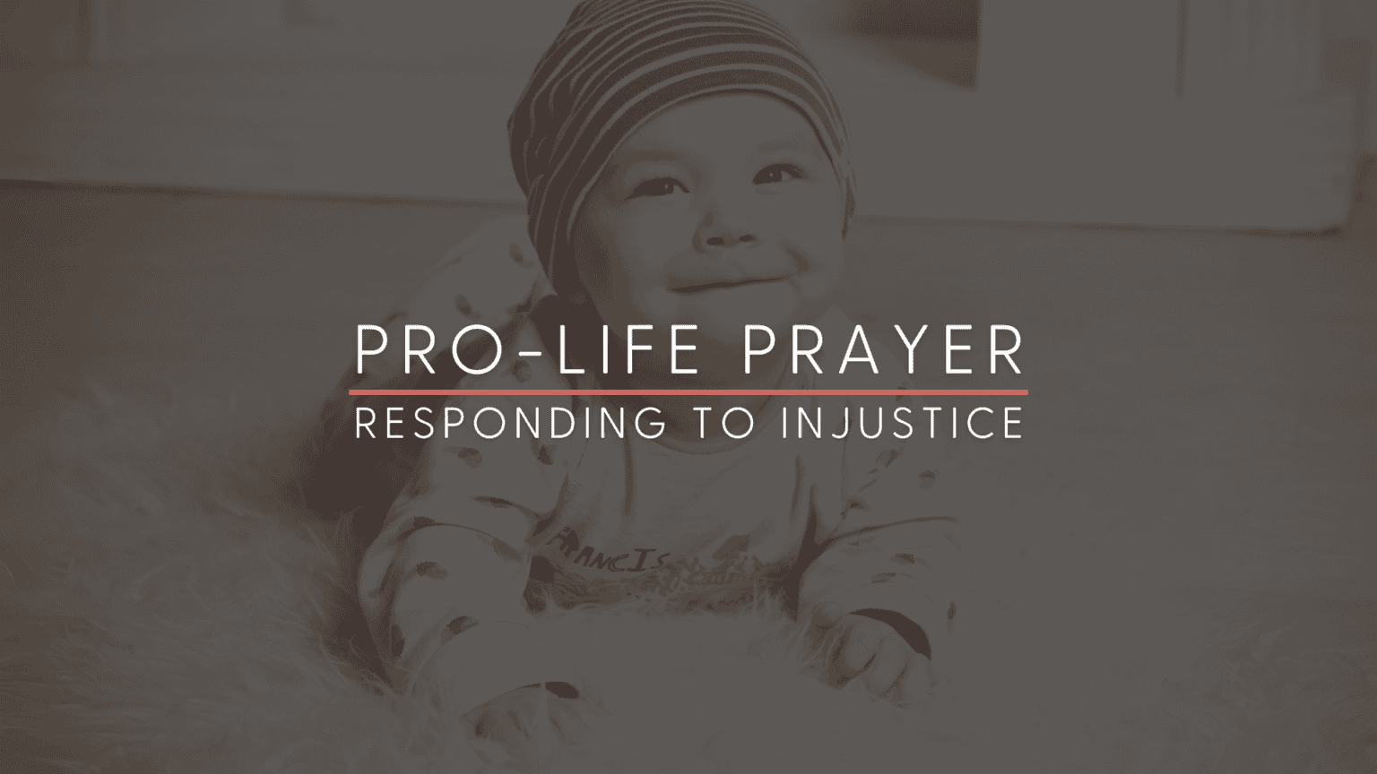 Pro-Life - Focus on the Family