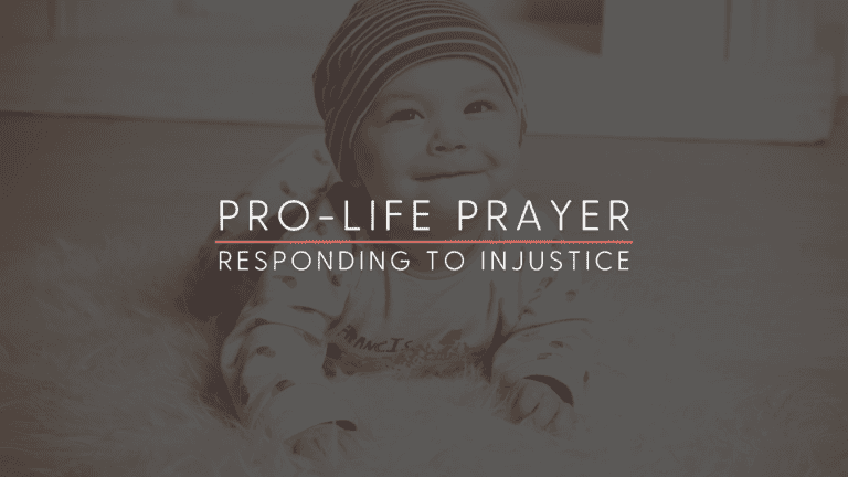 Pro-Life - Focus on the Family