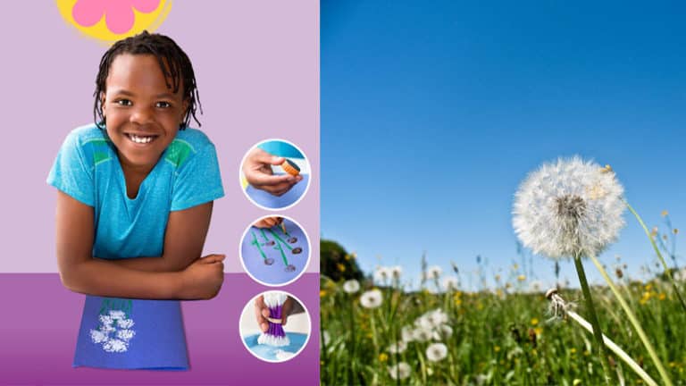 Clubhouse Jr. Magazine - Focus on the Family