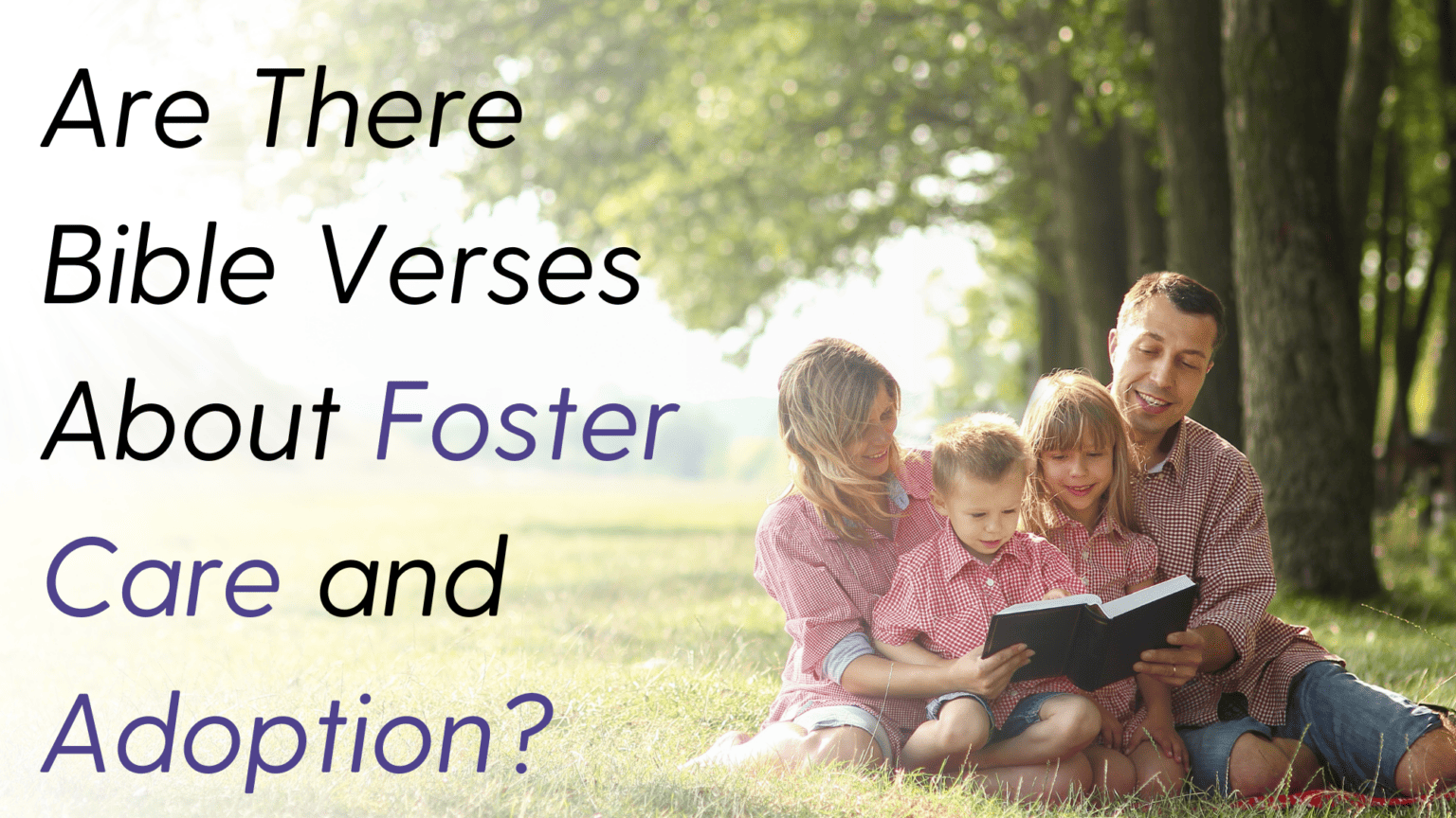 The Role of a Foster Care Social Worker - Focus on the Family