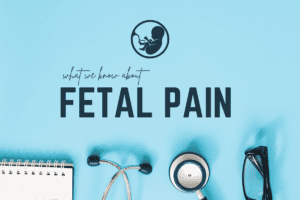 When Can a Fetus Feel Pain? - Focus on the Family
