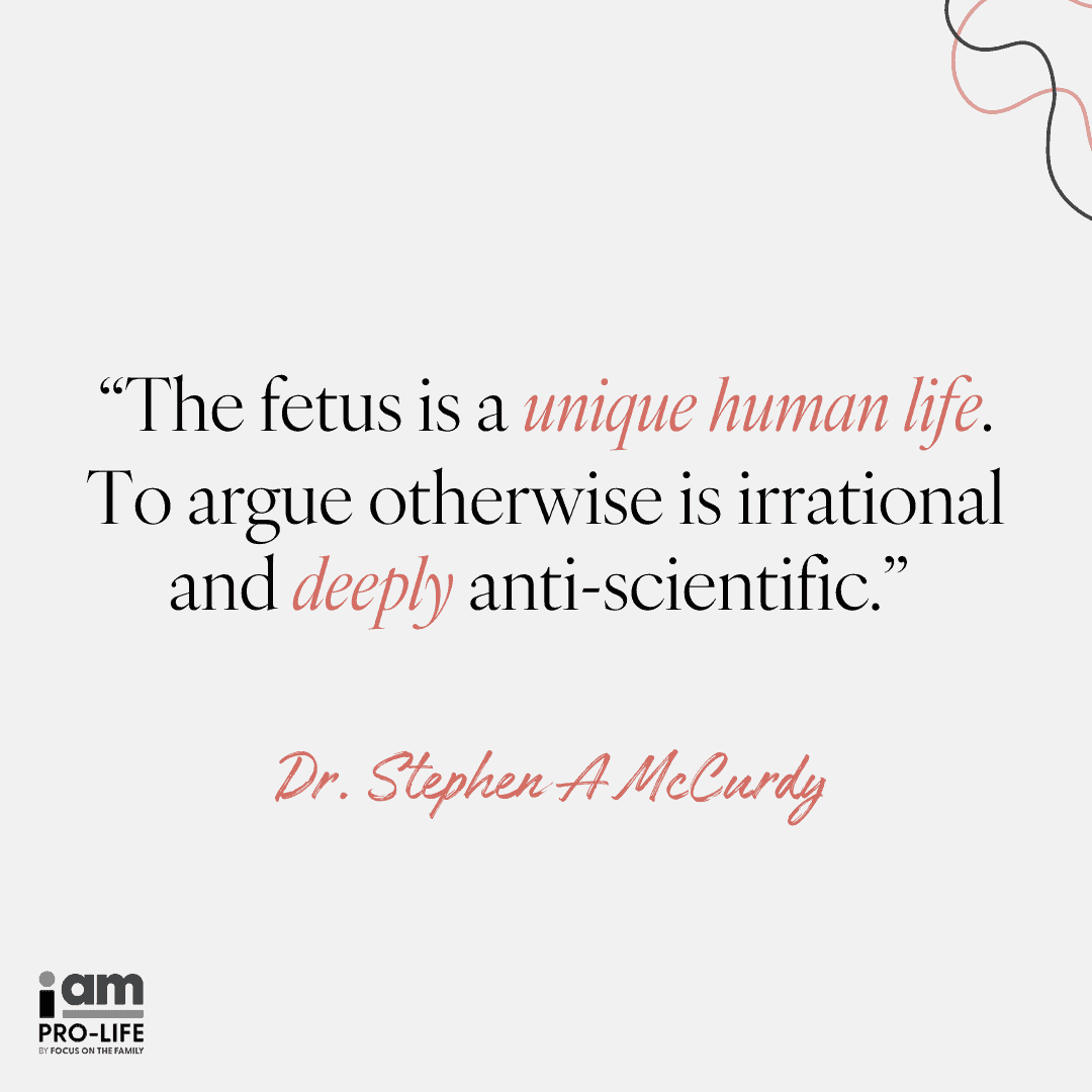 When Does a Fetus Become a Baby? - Focus on the Family