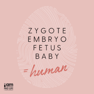 When Does a Fetus Become a Baby? - Focus on the Family