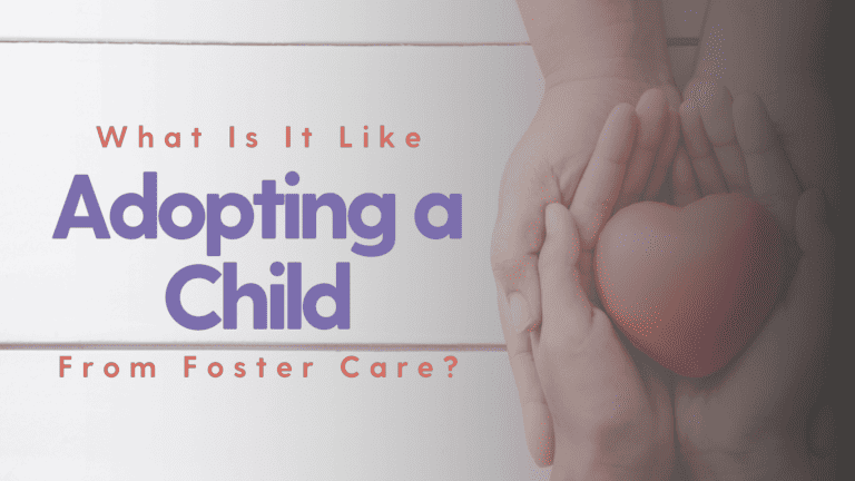 Pro-Life - Focus on the Family