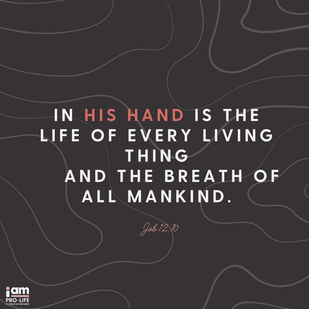 What Does the Bible Say About Abortion? - Focus on the Family