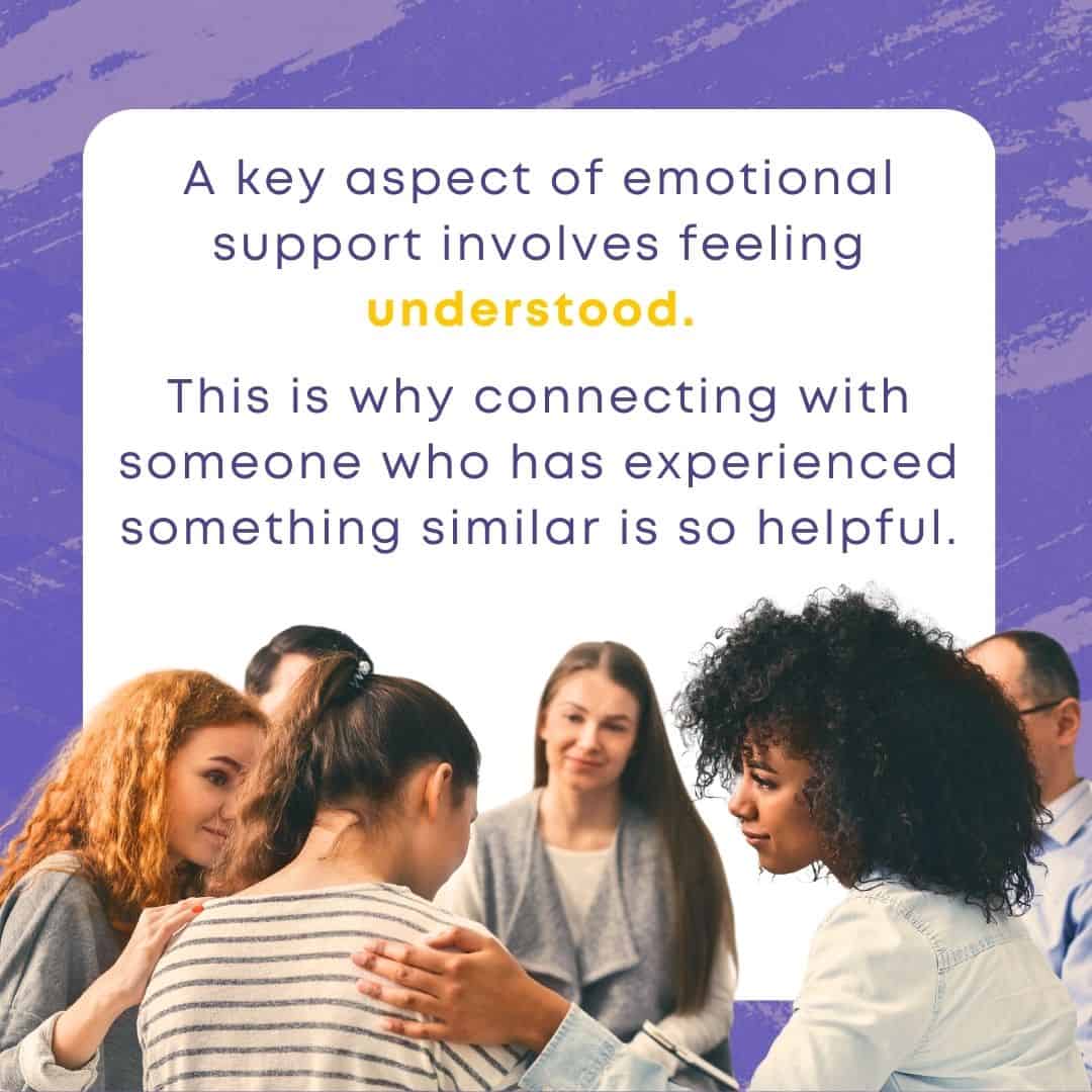 "Same Here": Emotional Support for Adoptive and Foster Families - Focus on the Family