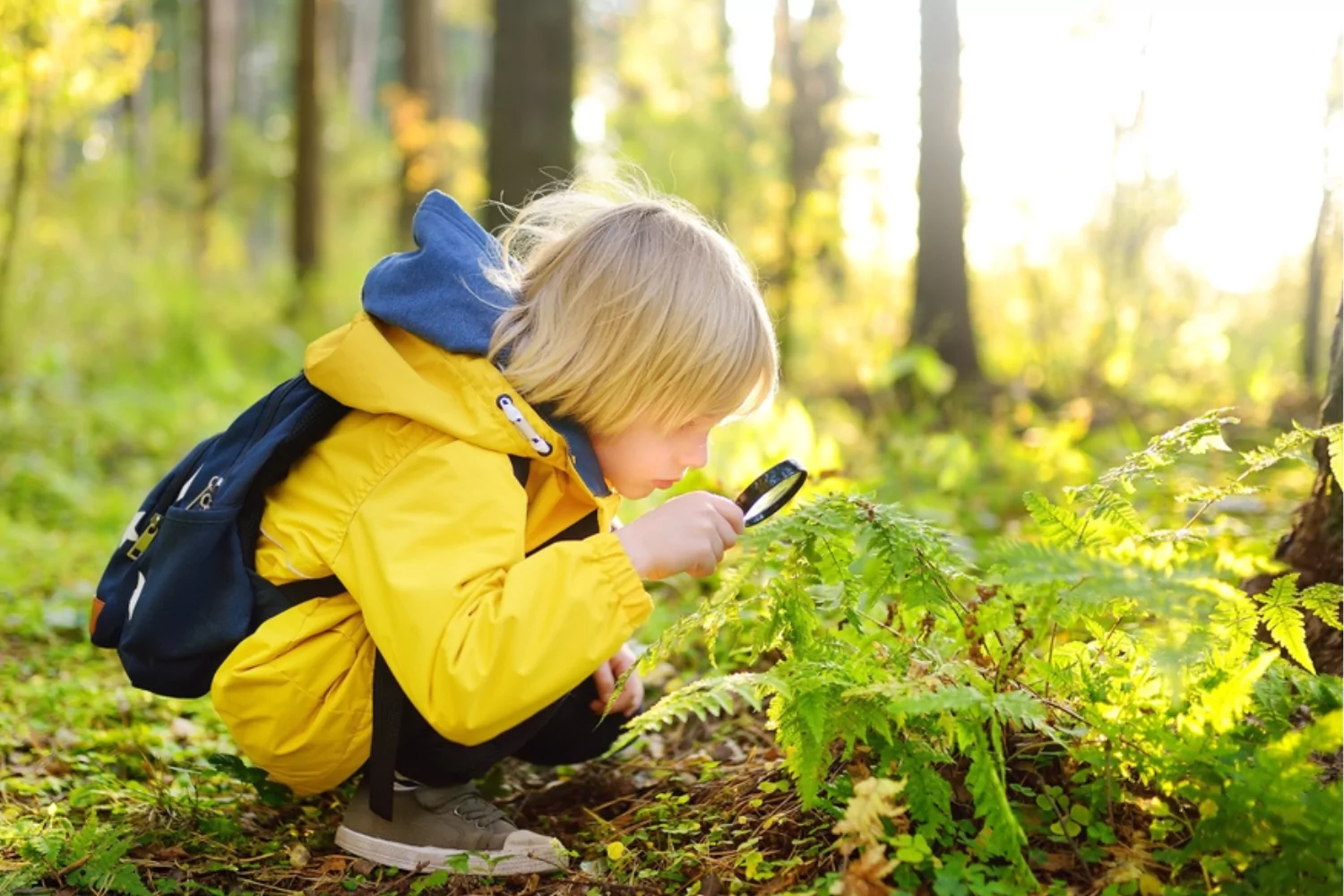 Nature-Based Learning: God's Classroom - Focus on the Family