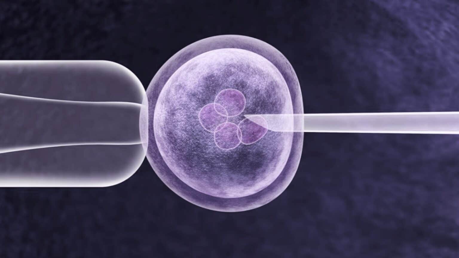 Frozen Embryos: Ethical Issues, Cryopreservation Risks, and IVF - Focus ...