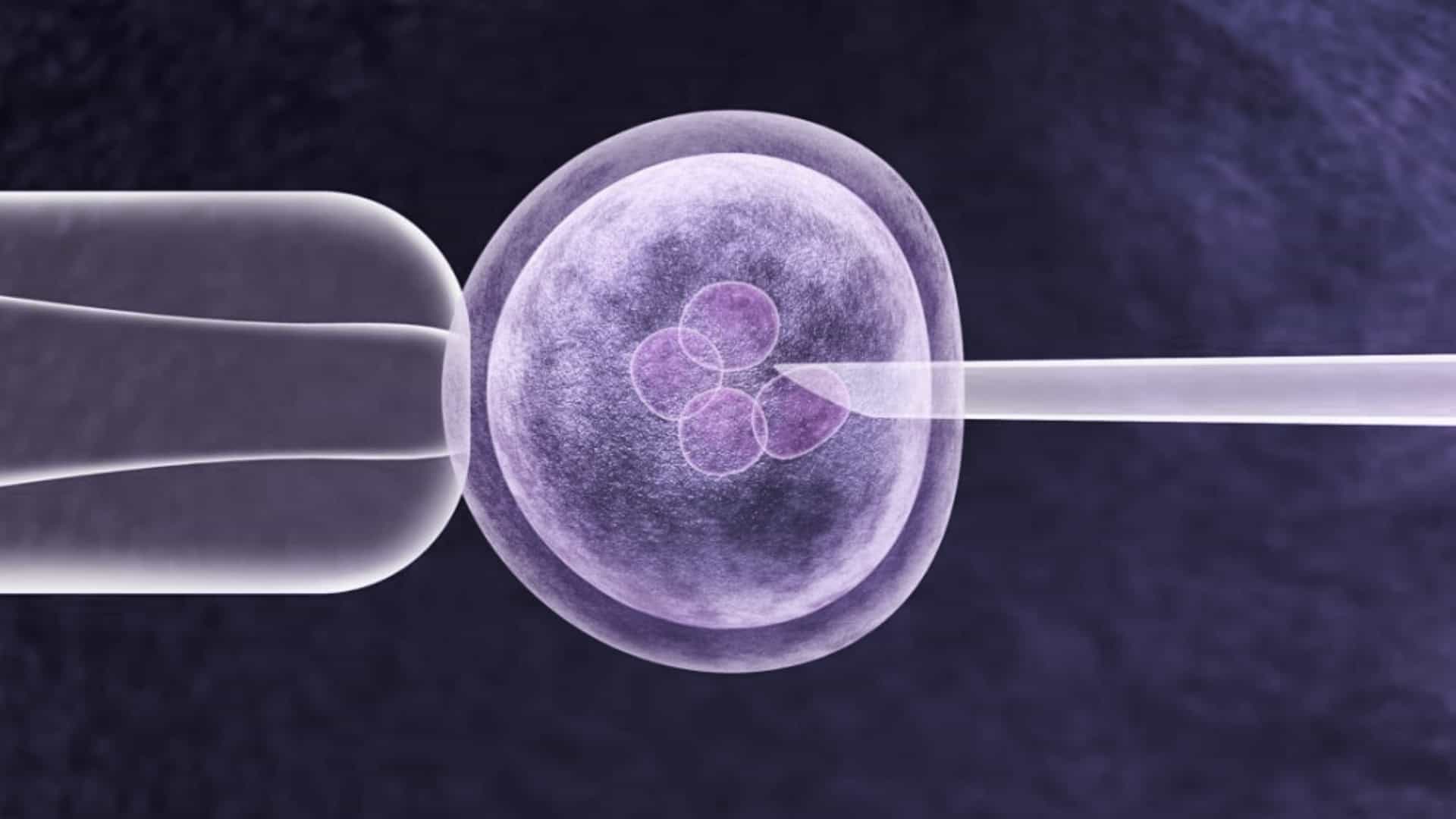 Frozen Embryos: Ethical Issues, Cryopreservation Risks, and IVF - Focus ...