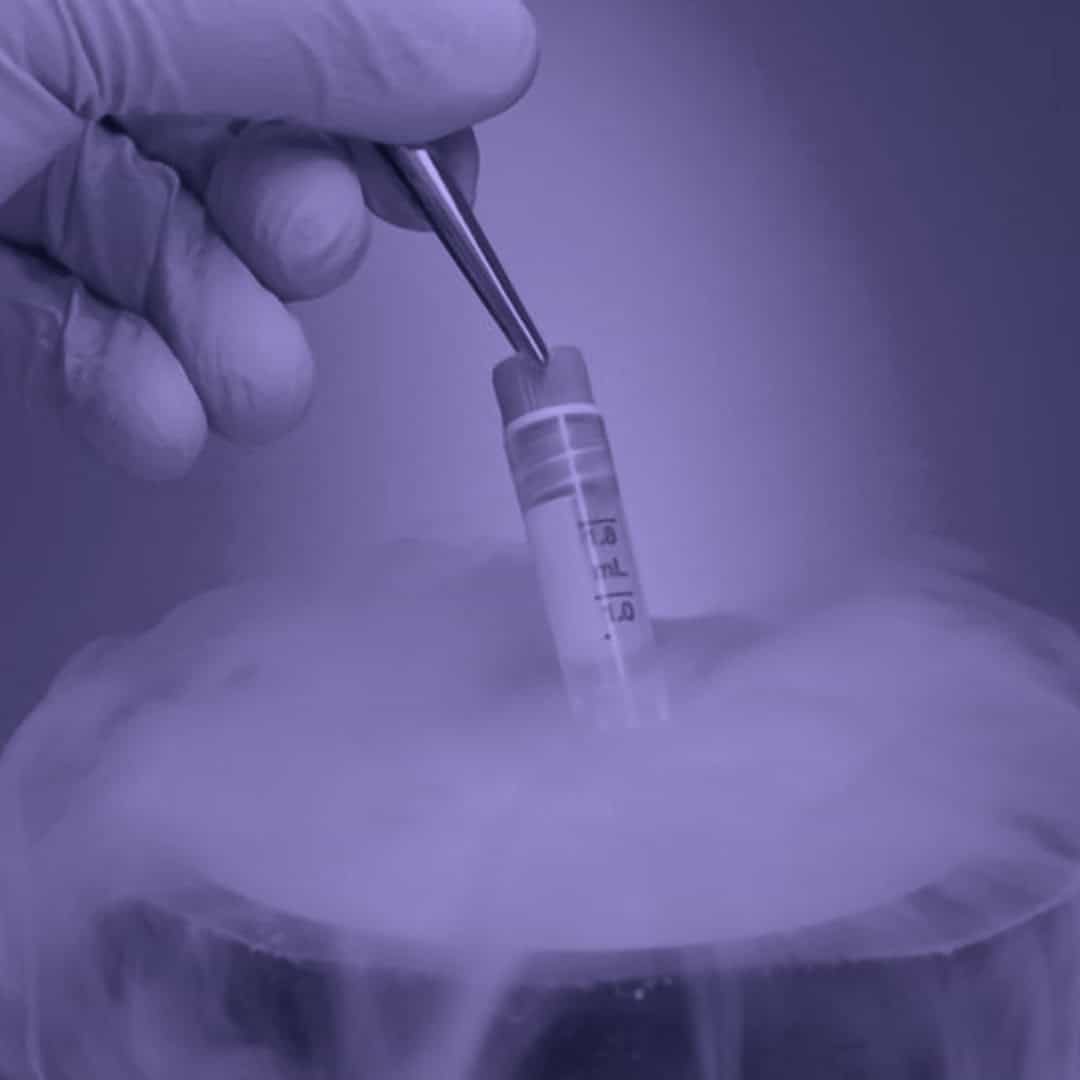 Frozen Embryos: Ethical Issues, Cryopreservation Risks, and IVF - Focus ...