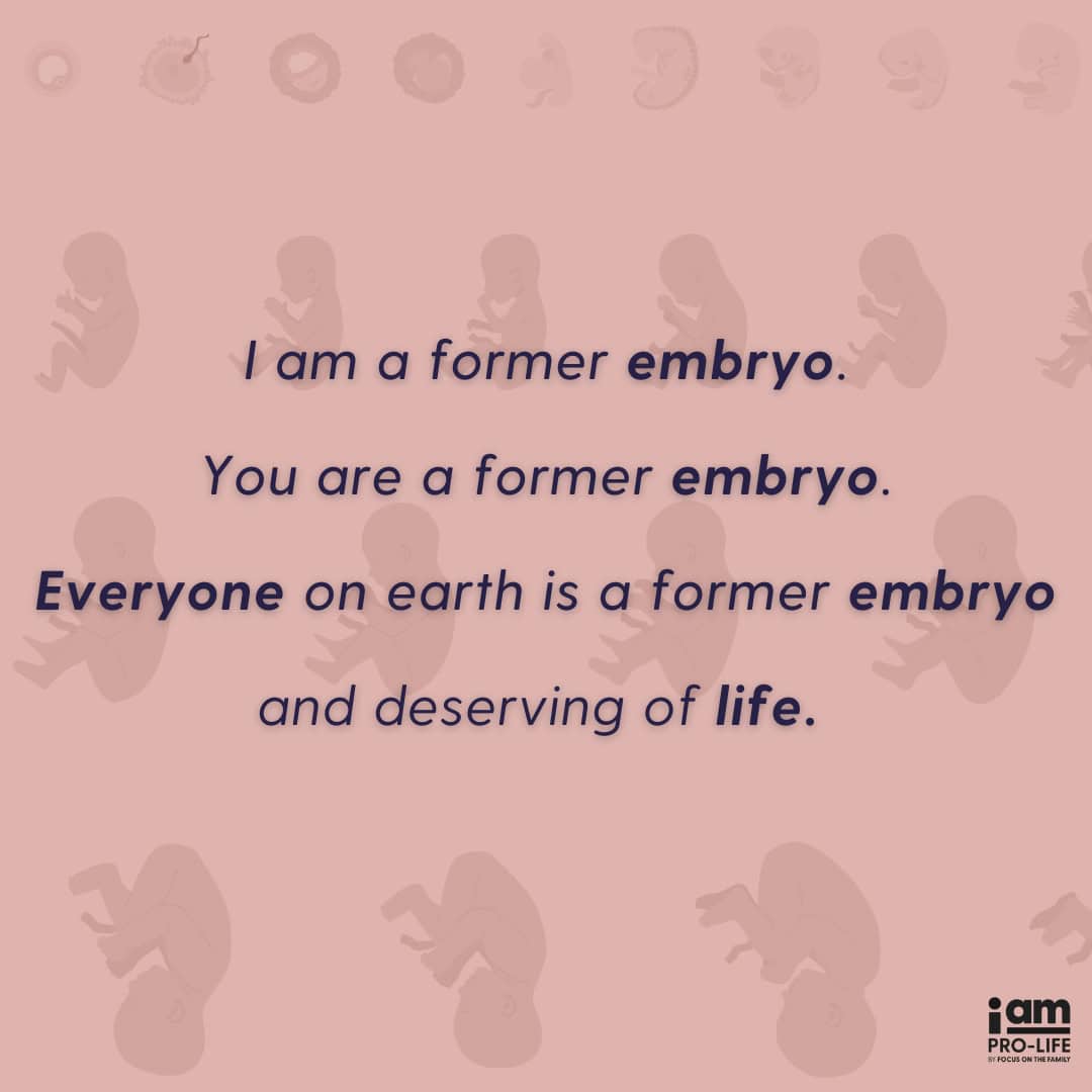 Frozen Embryos: Ethical Issues, Cryopreservation Risks, and IVF - Focus ...