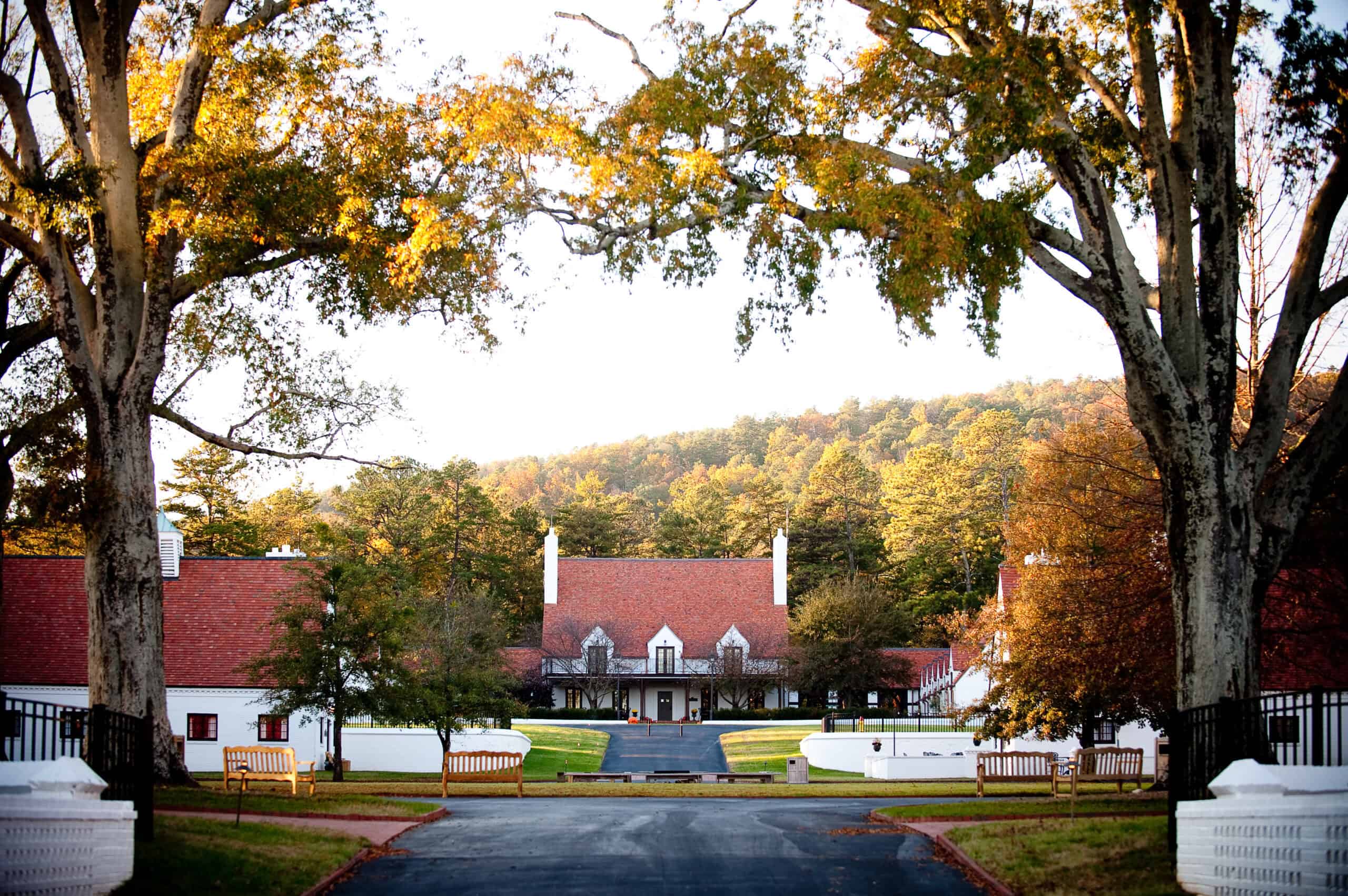 Georgia - Focus on the Family