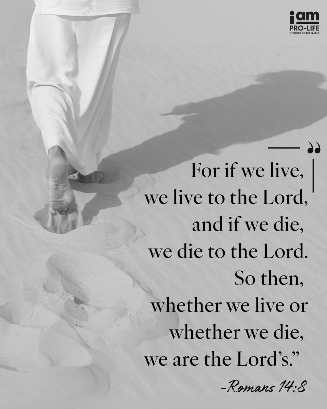 Bible Verses About Death and End of Life - Focus on the Family