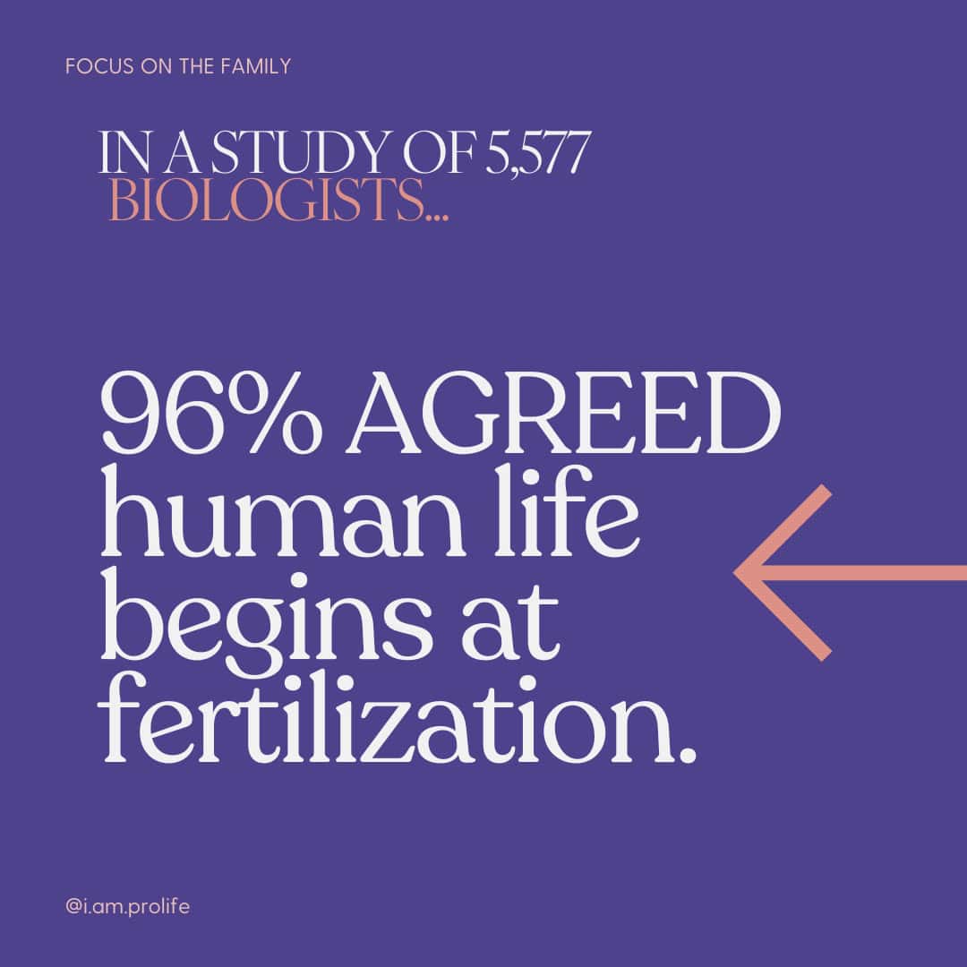 When Does Life Begin - Focus on the Family