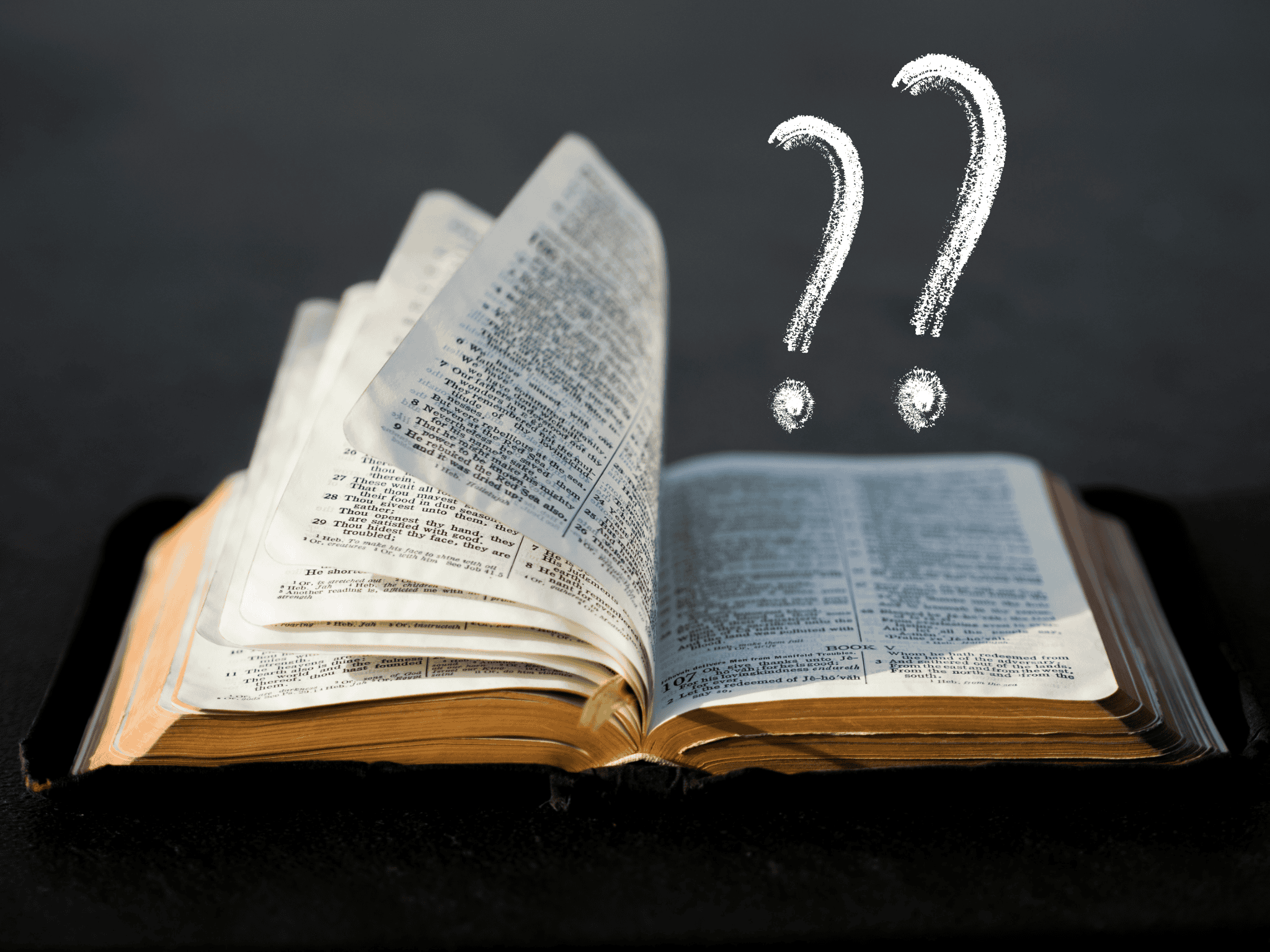 What Does the Bible Say About... - Focus on the Family